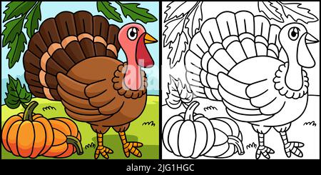 Turkey Coloring Page Colored Illustration Stock Vector Image & Art - Alamy