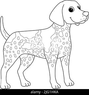 German Shorthaired Pointer Dog Coloring Page Stock Vector Image & Art ...