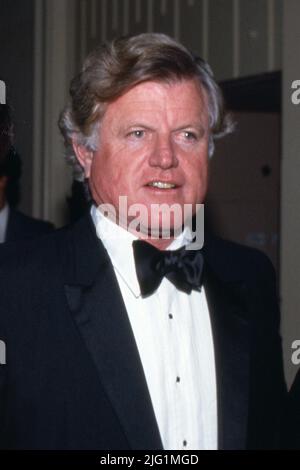 Ted Kennedy Circa 1980's Credit: Ralph Dominguez/MediaPunch Stock Photo ...