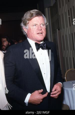 Ted Kennedy Circa 1980's Credit: Ralph Dominguez/MediaPunch Stock Photo ...