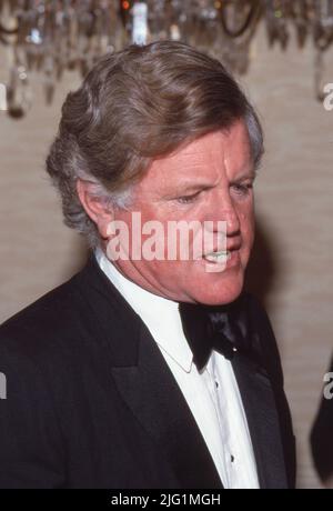 Ted Kennedy Circa 1980's Credit: Ralph Dominguez/MediaPunch Stock Photo ...