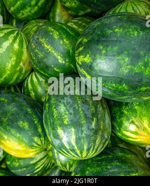 Watermelon is a flowering plant species of the Cucurbitaceae family and ...