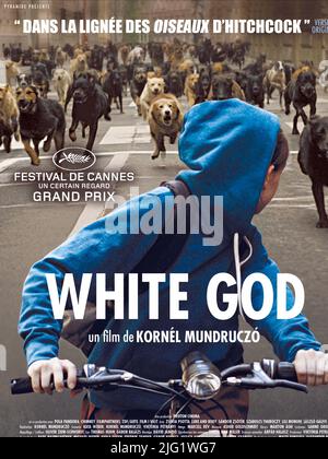 ZSOFIA PSOTTA, WHITE GOD, 2014 Stock Photo - Alamy