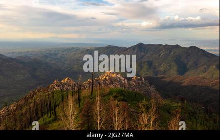Mount Lemmon Arizona charred trees after forest fire Stock Photo - Alamy