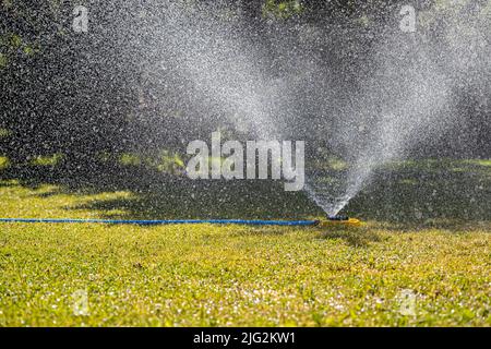 Automatic lawn watering system, watering the lawn in the backyard Stock ...