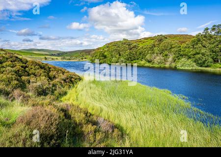 Otterburn ranges in Northumberland, UK with targets Stock Photo - Alamy