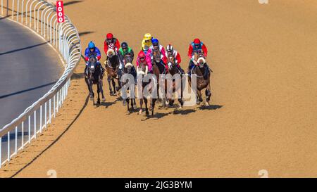 Horse racing overhead action of jockeys horses on race sand poly track ...