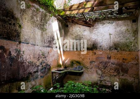 Charleville Castle Stables ruins at abandoned Charleville Castle in ...