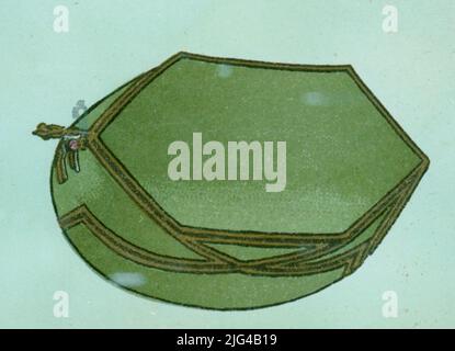 Elizabethan hat of the bellows of the newspaper of the Aviation Officer ...