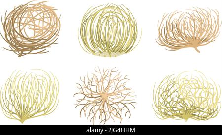 Tumbleweed, dry weed ball isolated on transparent background. Vector realistic set of western ...
