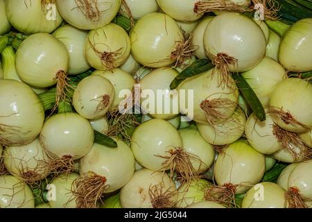 Background of many fresh onion tubers at the vegetable market. The ...
