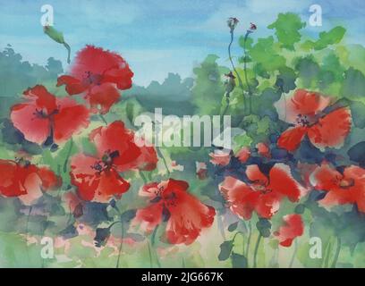 Red poppy field abstract watercolor background. Summer landscape Stock ...