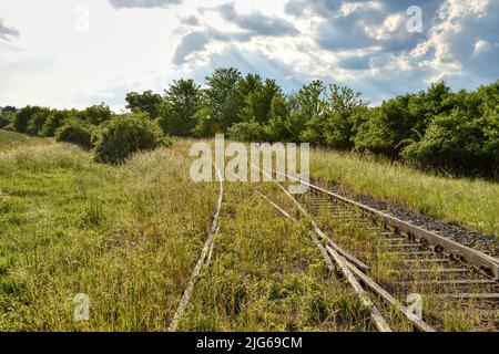 Pulkau, Schienen, Gleis, Weiche, Wechsel, Laterne, Signalbild ...