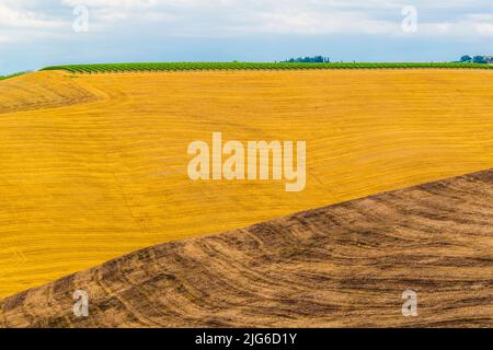 Italy Tuscany - Environs of Torrenieri Stock Photo - Alamy