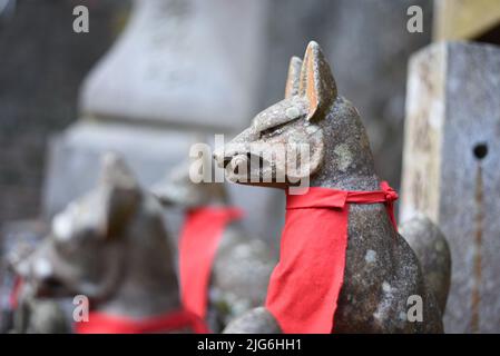 fox statues guarding the forest shrine Stock Photo - Alamy