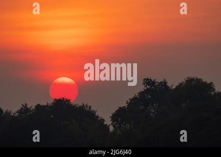 intense, colorful sunset with a silhouette of trees in October Stock Photo - Alamy