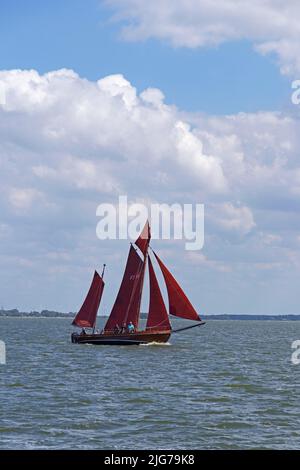 Zeesenboot Regatta, Wustrow, Saaler Bodden, Mecklenburg-West Pomerania ...