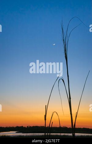 Moon with clouds in front and copy space Stock Photo - Alamy