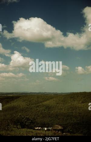 Sugar cane land, vicinity of Rio Piedras, Puerto Rico Stock Photo - Alamy