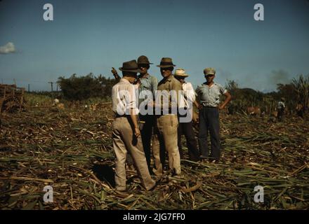 Sugar cane workers resting, Rio Piedras, Puerto Rico Stock Photo - Alamy