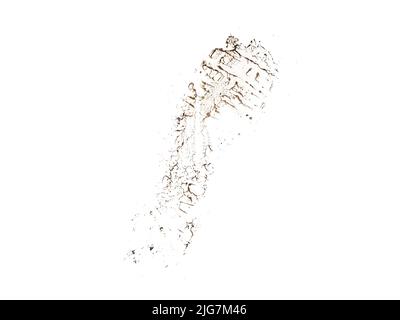 Muddy footprint isolated on white Stock Photo - Alamy