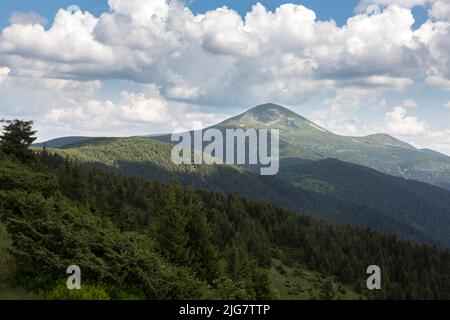 The top of Mount Hoverla is covered with green grass and stones on a ...