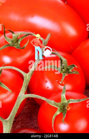 Image of miniature tomatoes Stock Photo - Alamy