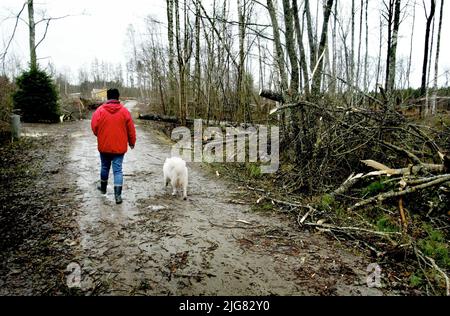 After Storm Gudrun, Linköping, Sweden Stock Photo - Alamy