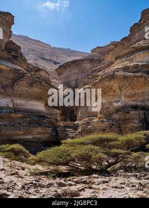 On the coastal road near Hasik, Oman Stock Photo - Alamy