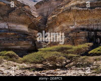 On the coastal road near Hasik, Oman Stock Photo - Alamy