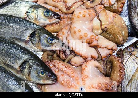 Seafood, fresh fish, Troyes, France Stock Photo - Alamy