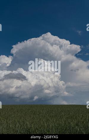 Thunderclouds over a field Stock Photo - Alamy