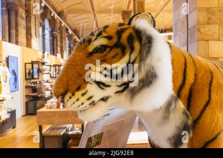 The Museum Shop, Natural History Museum, London UK Stock Photo - Alamy