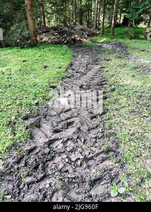 deep tire tread marks on forest floor Stock Photo - Alamy