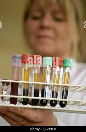 Medical staff with a lot of blood samples, in a laboratory, from ...