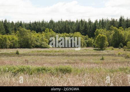 Gisburn Ribble Valley Bowland Lancashire England Stock Photo - Alamy