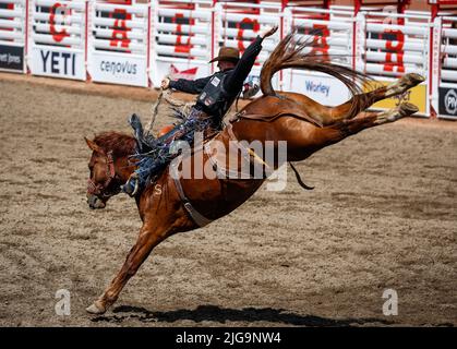 Zeke Thurston, of Big Valley, Alta., rides Redon Acres during saddle ...