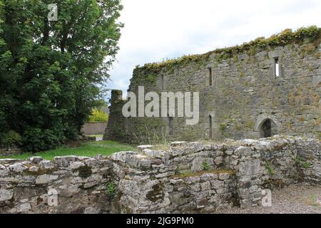 Castle Ruins near Fermoy, Ireland Stock Photo - Alamy