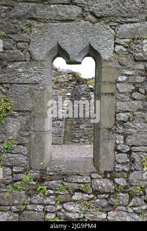 Castle Ruins near Fermoy, Ireland Stock Photo - Alamy
