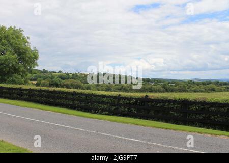 Quaint Irish farm Stock Photo - Alamy