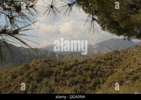 Mountain view with a lot of trees and path in the wild Stock Photo - Alamy
