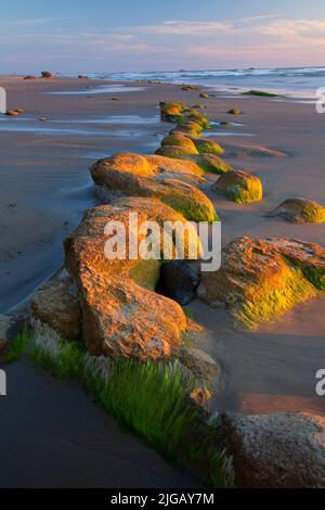 Ona Beach, Brian Booth State Park, Oregon Stock Photo - Alamy