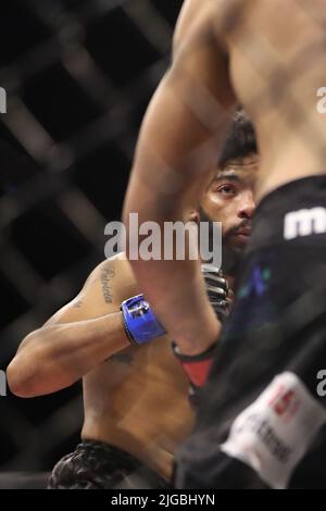 PHOENIX, AZ - JULY 8: Austin Wourms and Lucas Clay meet in the octagon ...