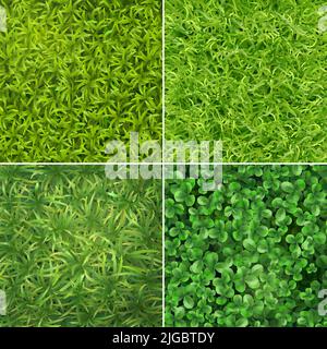 Realistic set of clover leaves isolated on transparent background. Vector illustration of 3D ...