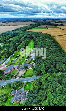 An aerial view of buildings surrounded by growing trees during sunset ...