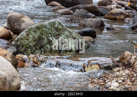Landscape of Middle St. Vrain Creek in Raymond, Colorado Stock Photo ...