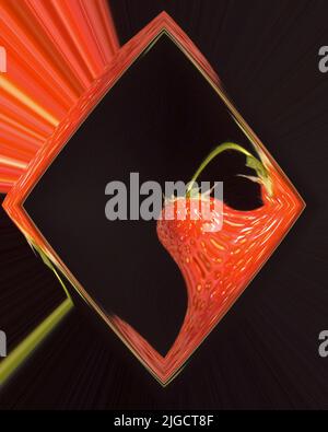 Computer art generated from an original photo taken by myself Stock ...