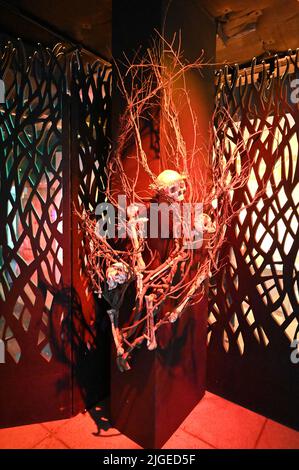 Sci-fi props at the Museum of Pop Culture in Seattle Stock Photo - Alamy