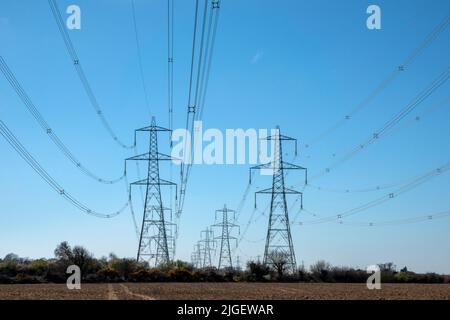 Overhead power lines receding into the distance crossing agricultural ...
