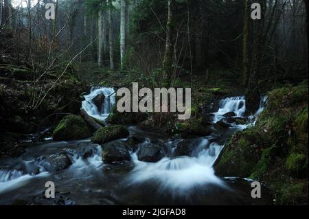 Afon Rhwiddolion (centre) and a tributary Stock Photo - Alamy